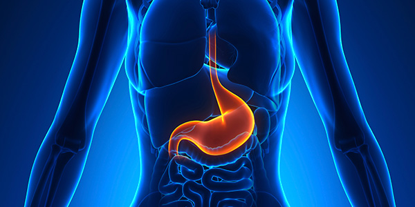 Patrick Kelly, MD, PhD